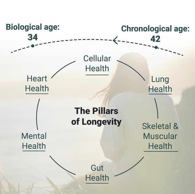 The 6 Pillars of Longevity – The Press Room